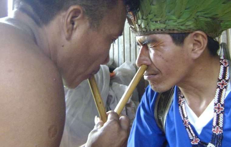 Tepi pipe for rapé: what is (and where to buy) a shamanic applicator